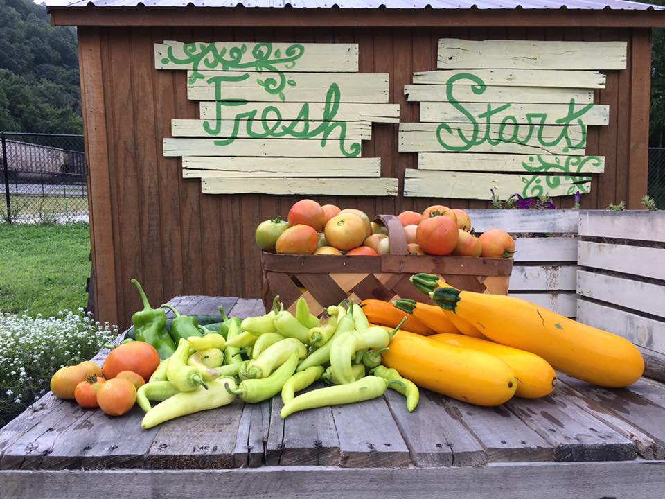Fresh Start – SRDRC
